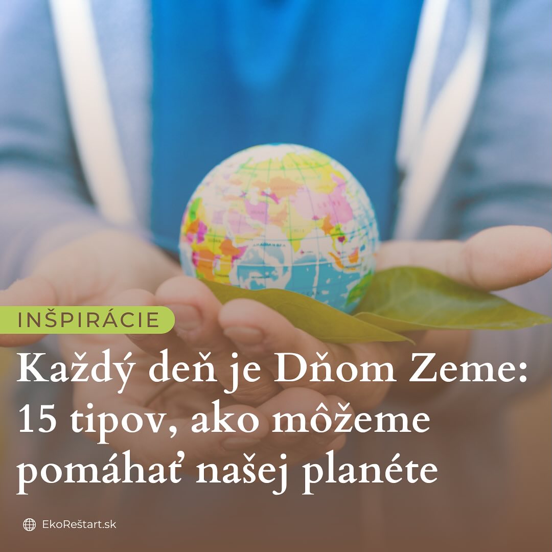 Máte radi korytnačky? Spoznajte tieto úžasné tvory vďaka našim 20 ...