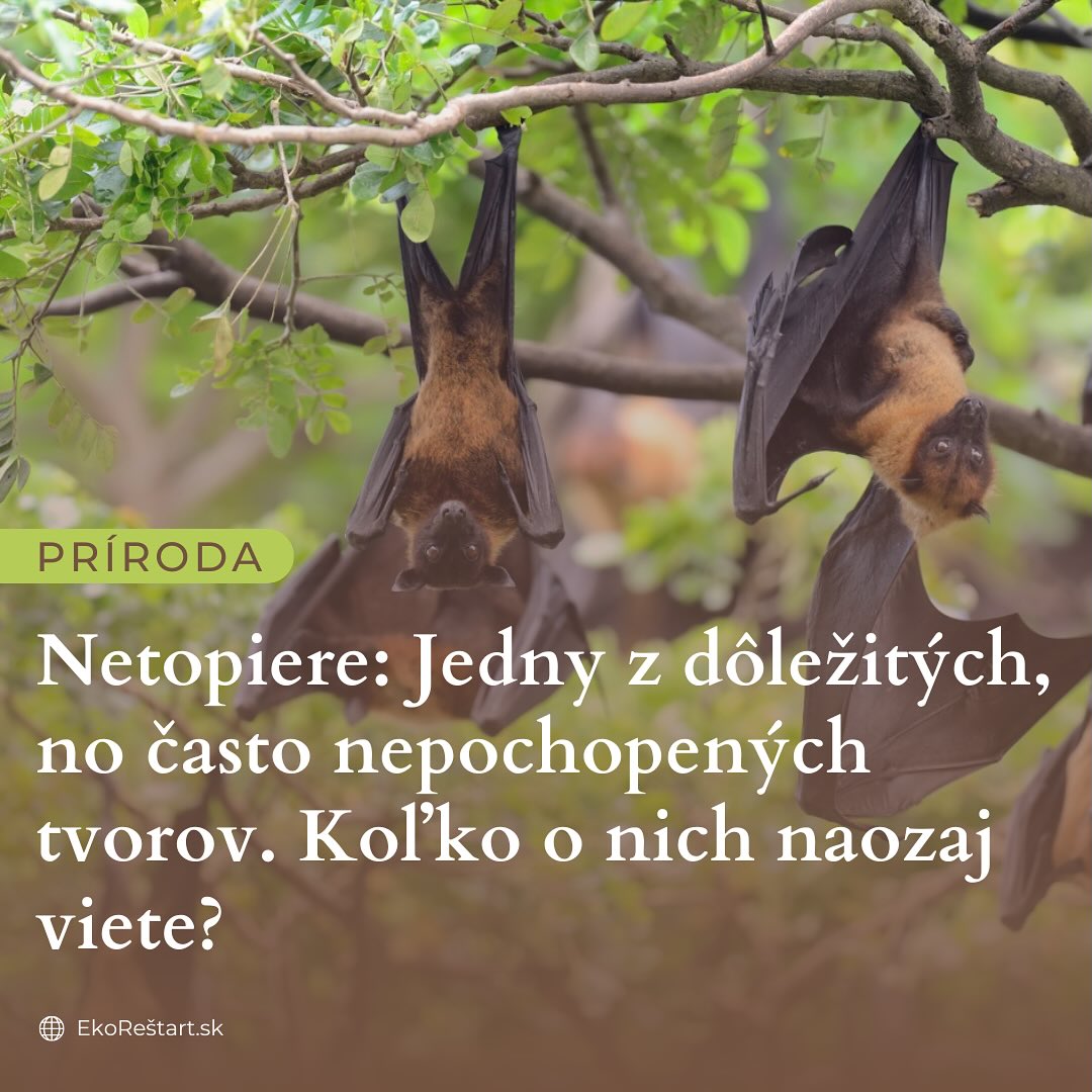 40 jesenných aktivít (nielen v prírode), ktoré vám okamžite zdvihnú ...